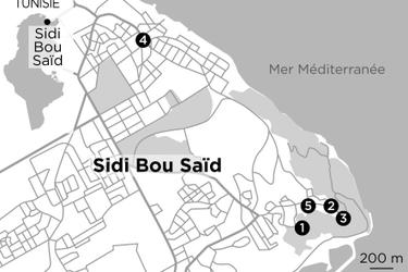 Le Sidi Bou Saïd de Colette Fellous